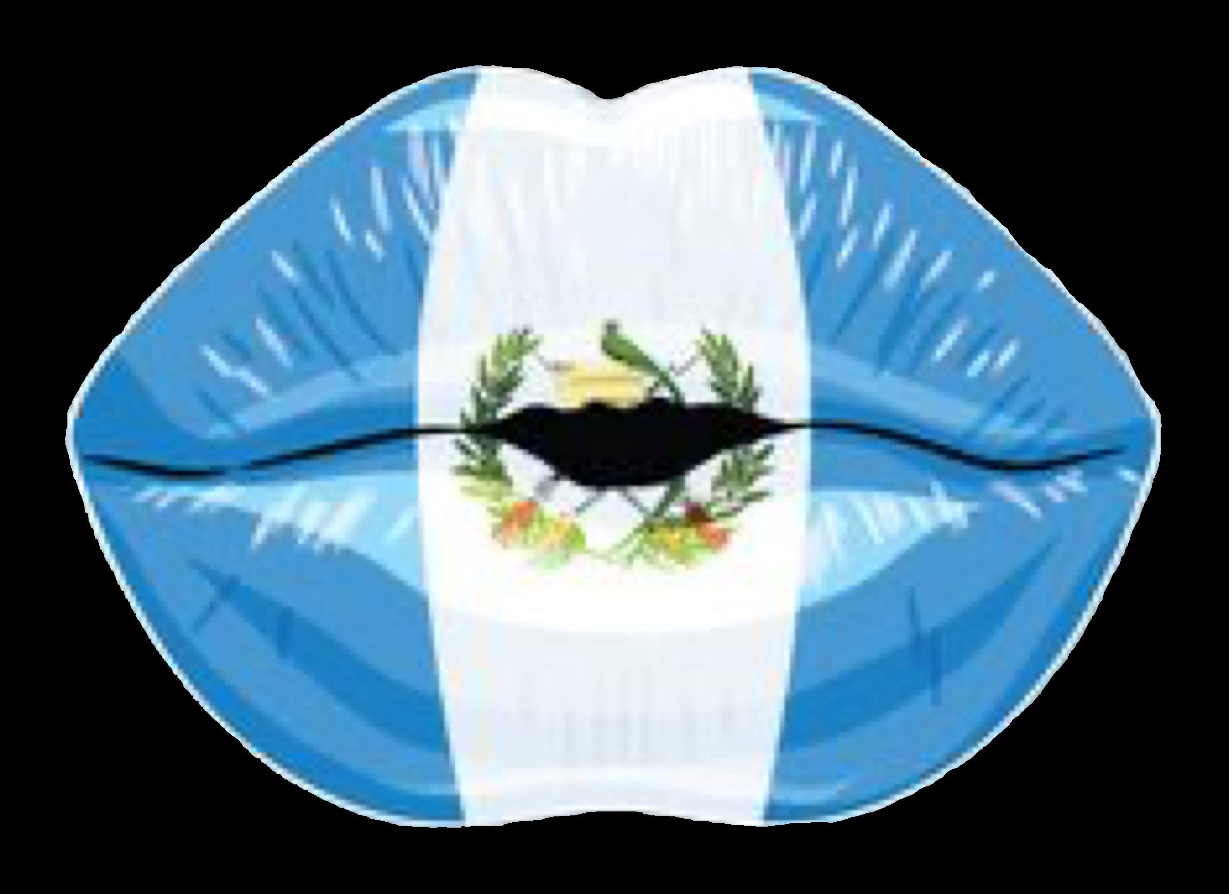 GUATEMALA Flag Vinyl Stickers-decals Bandera Guatemala - Etsy