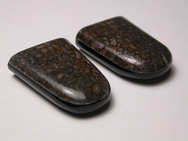 Dinosaur Bone and Black Onyx Tongue Cabochon Pair, Hand Carved, 23mm X ...
