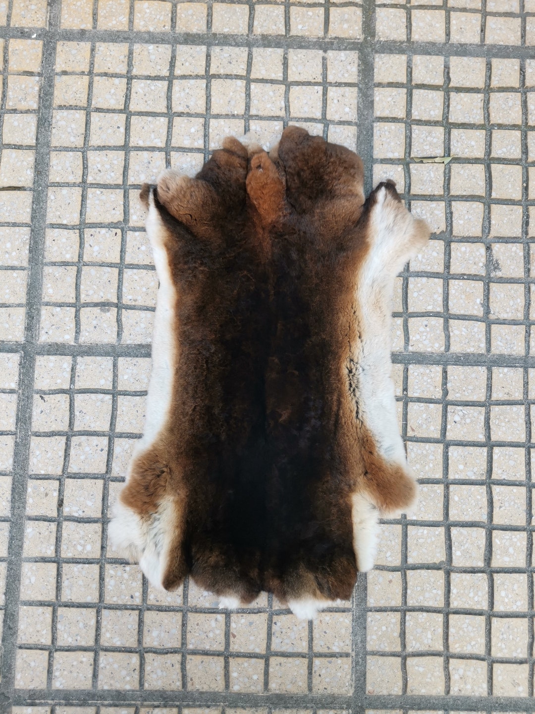 REAL Fur Rex Rabbit Pelt Natural Rex Rabbit Pelt Material - Etsy