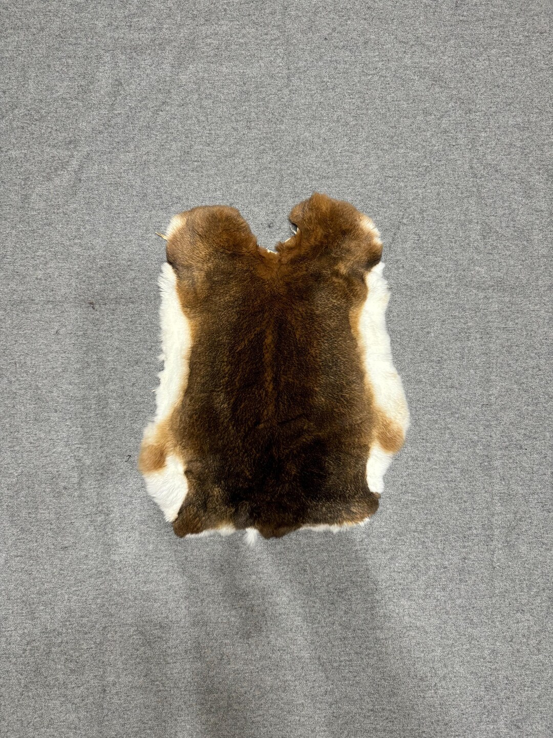 REAL Fur Rex Rabbit Pelt | Natural Rex Rabbit Pelt | Material for ...