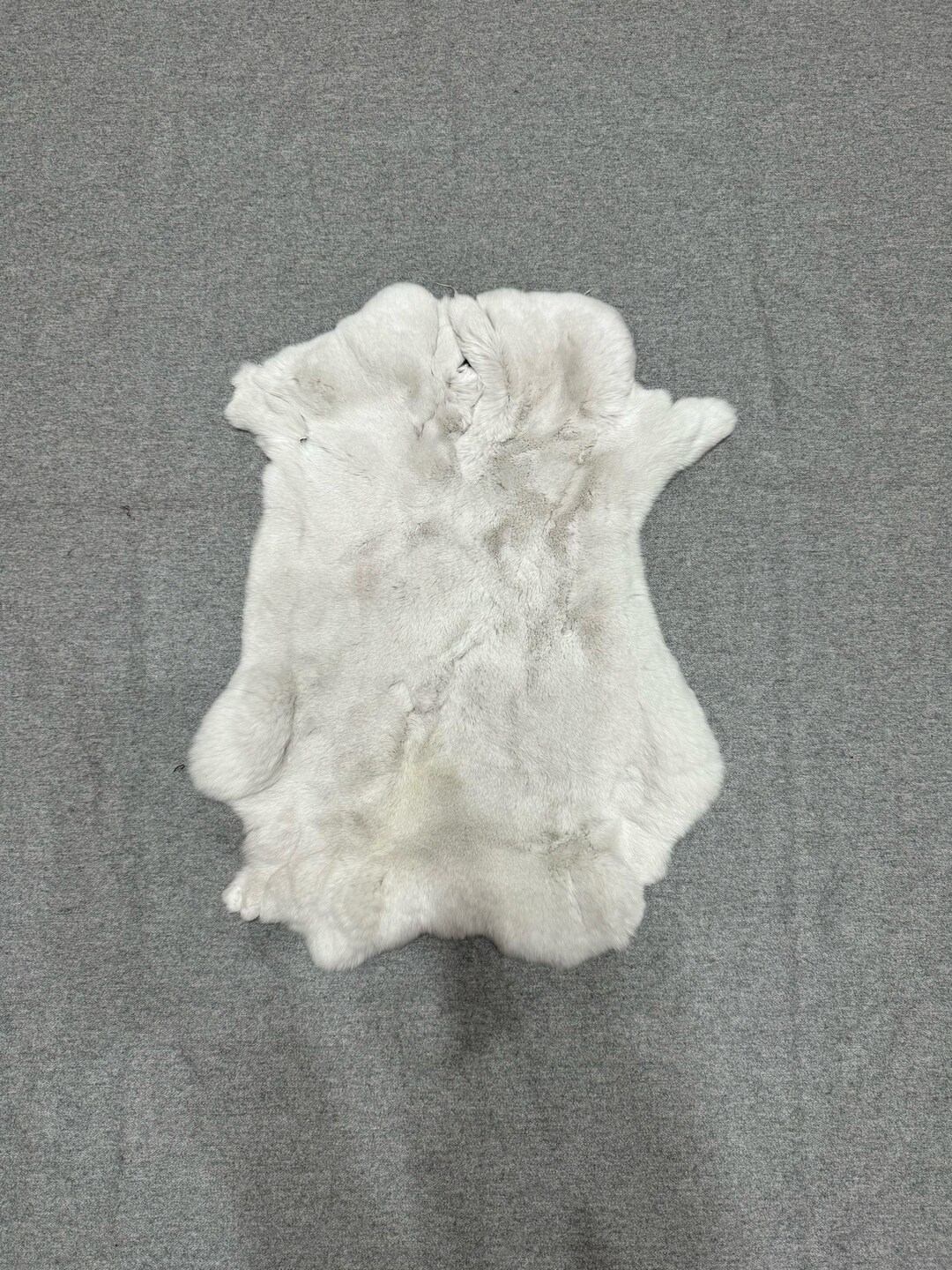 REAL Fur Rex Rabbit Pelt Skin Natural Rex Rabbit Pelt Skin Material for ...