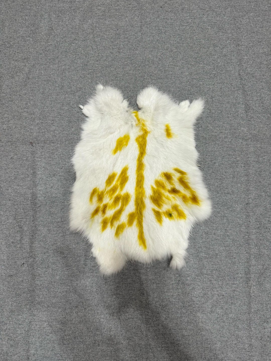 REAL Fur Rabbit Pelt Skin Natural Rabbit Pelt Skin Material for ...