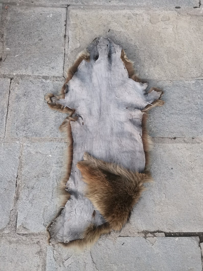 Genuine Coyote Fur Skin Real Coyote Fur Pelt Khaki Material for ...