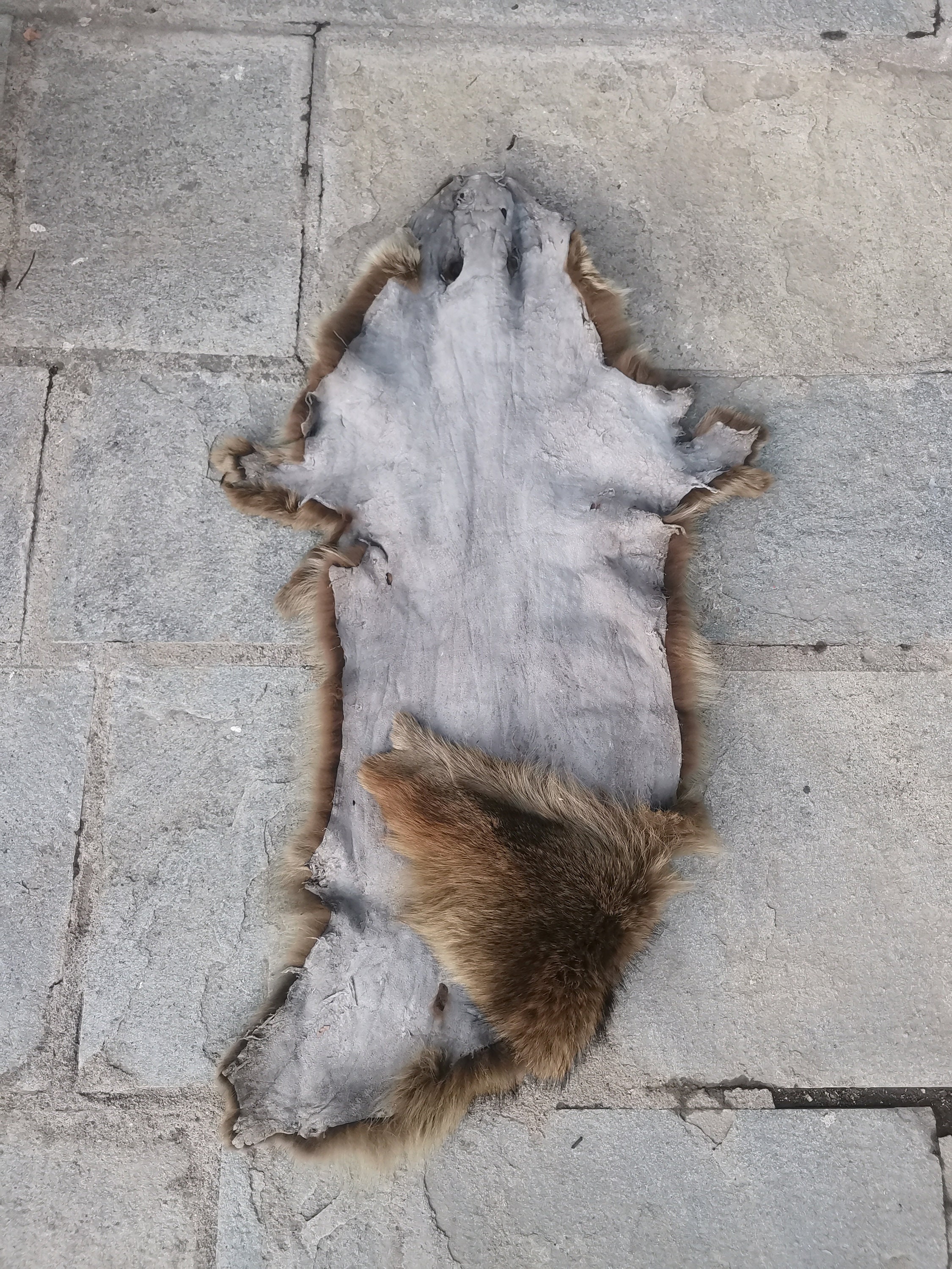 Genuine Coyote Fur Skin Real Coyote Fur Pelt Khaki Material for ...