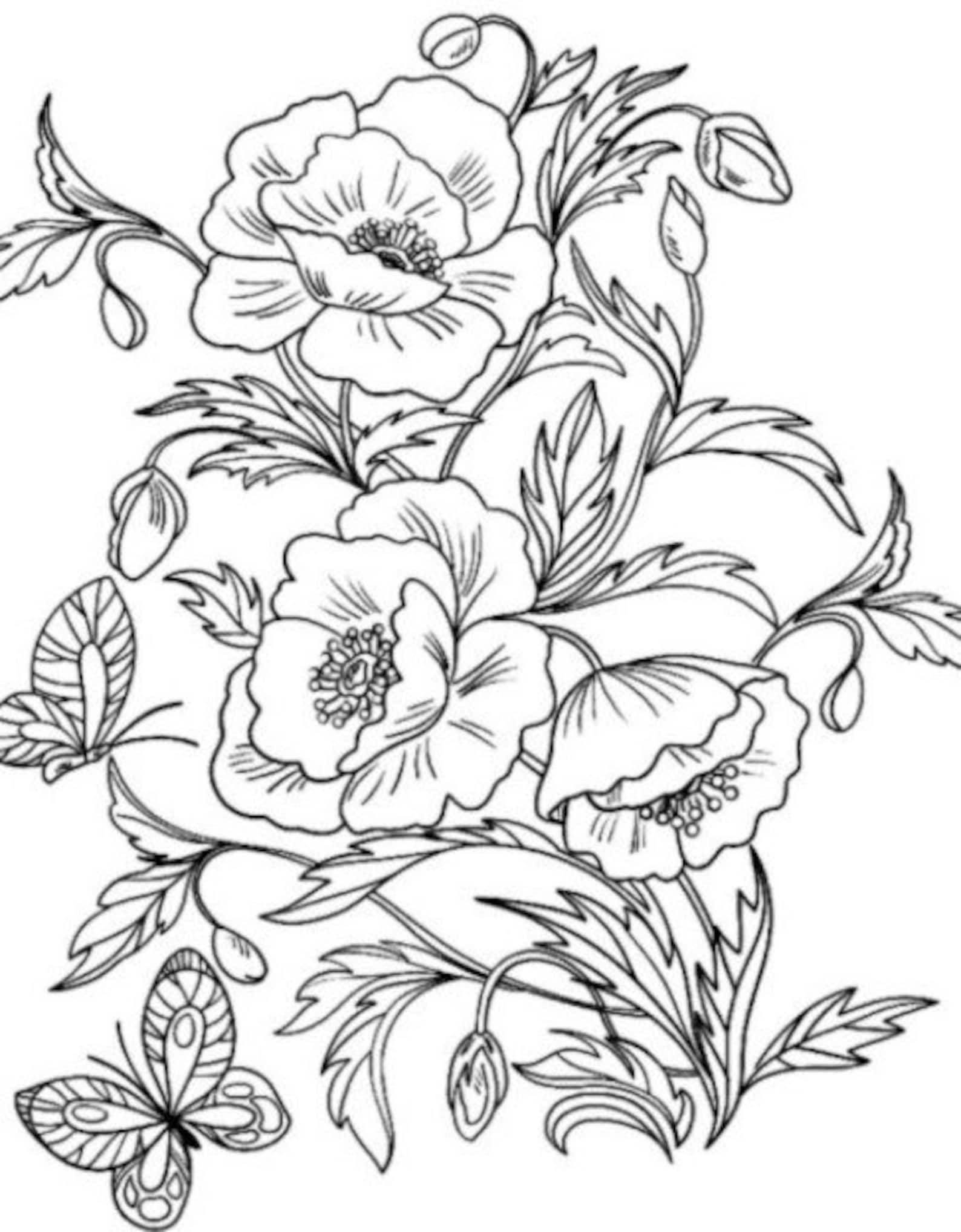 Printable Plant Coloring Book-digital Download-color Yourself - Etsy