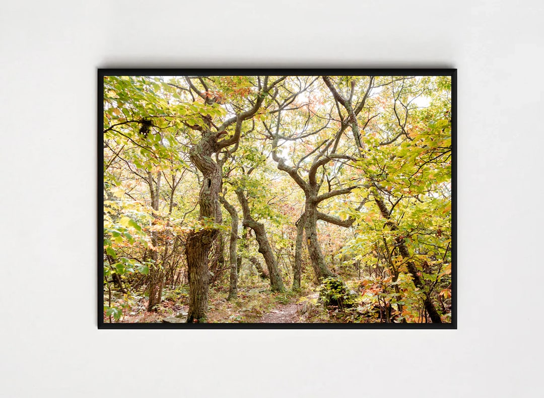 Stranger Things, Photo Print, Photography, Landscape, Home Decor, Wall ...