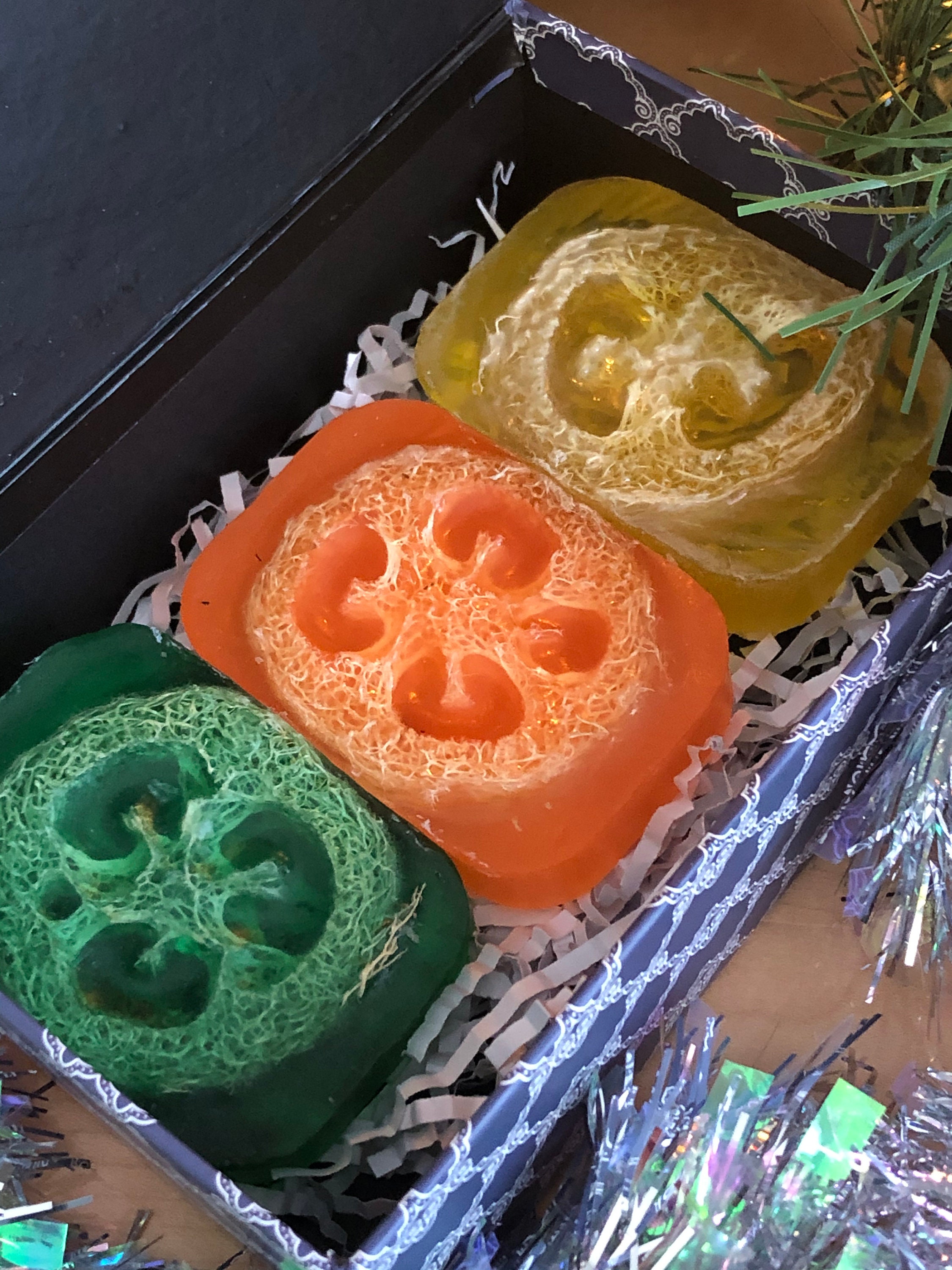 Goat Milk Loofah Exfoliating Soap Handmade Luffa Soap Handmade Goat ...