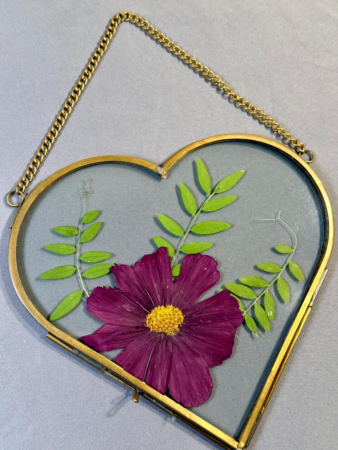 Purple Cosmo With Green Foliage in Brass 6x6 Heart Frame - Etsy