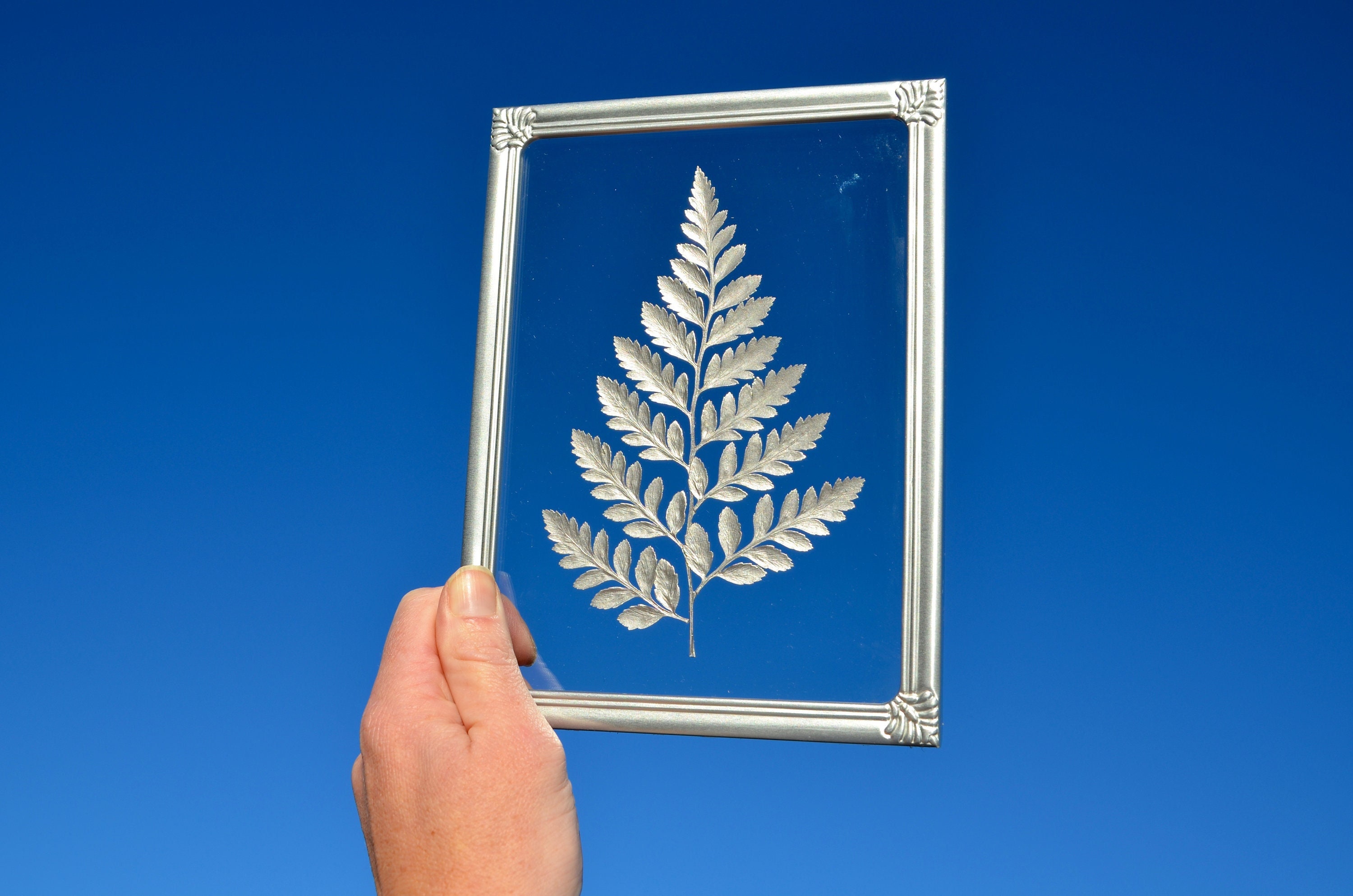 Silver Leaf Fern Frond in Silver 5x7 Frame - Etsy