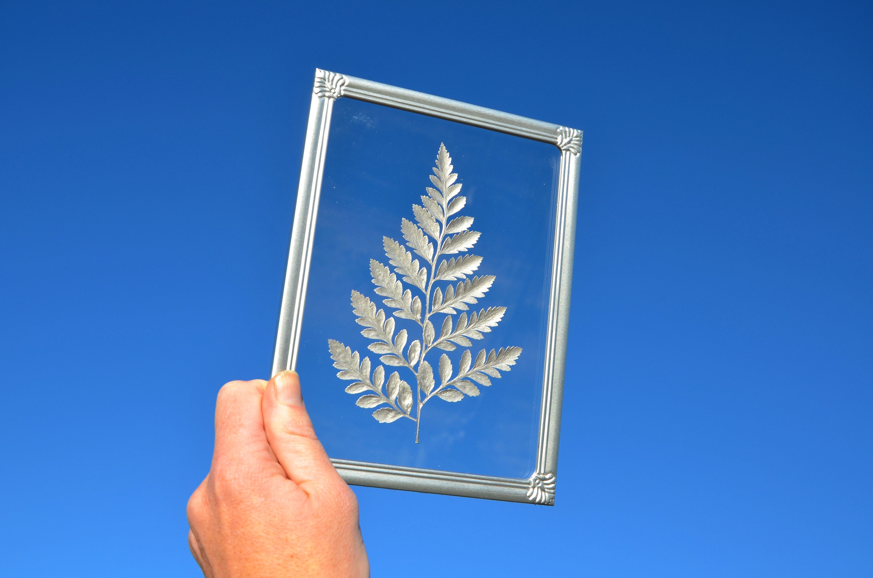 Silver Leaf Fern Frond in Silver 5x7 Frame - Etsy