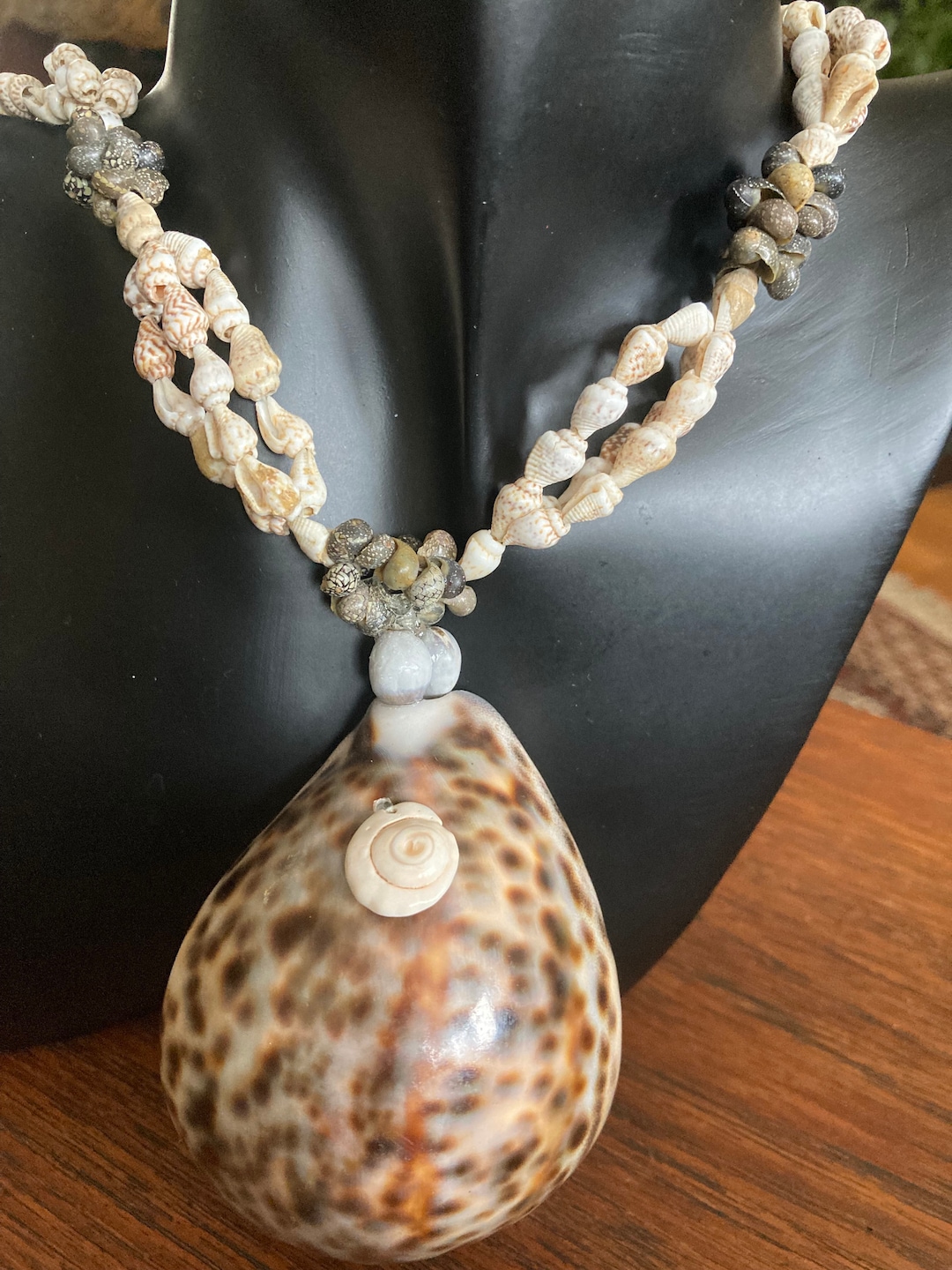 Papua New Guinean Shell Necklace, Spotted Cowrie Pendant, Ceremonial ...