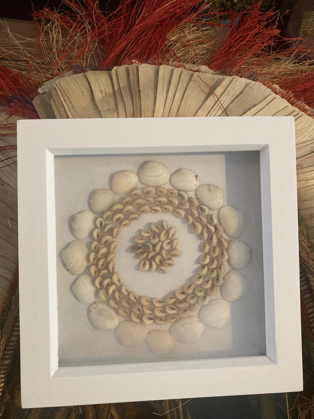 Rare Valuable Tabu Shell Money Ancestral Living Wealth Shadow Box ...