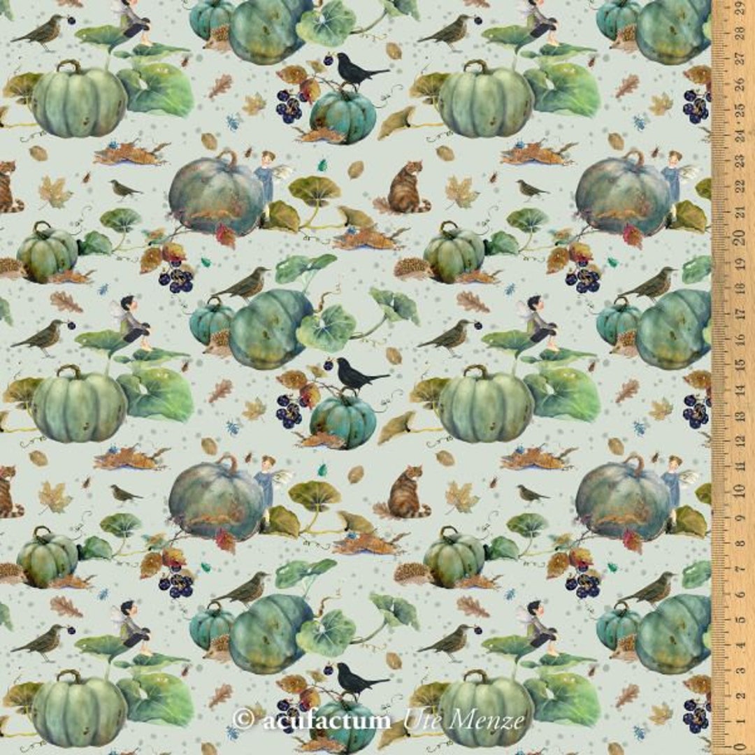 BW Fabric Pumpkin Patch 145 Cm Wide Daniela Drescher Acufactum - Etsy
