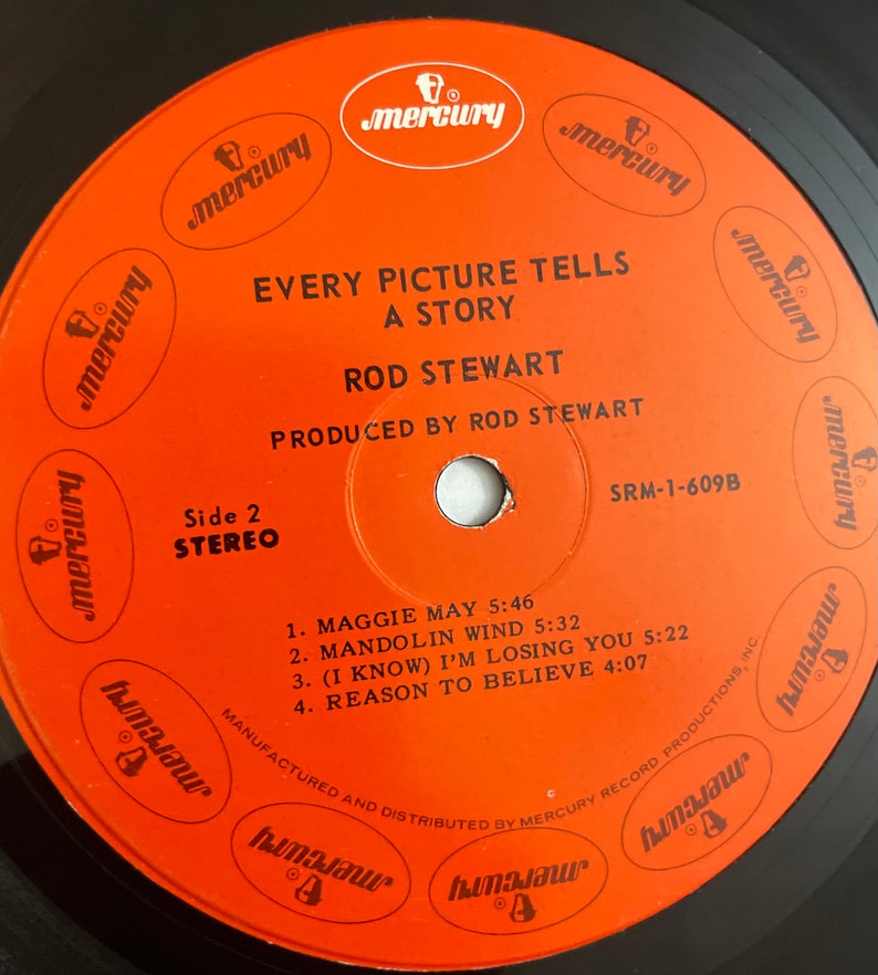 Rod Stewart every Picture Tells A Story LP Record Vinyl - Etsy