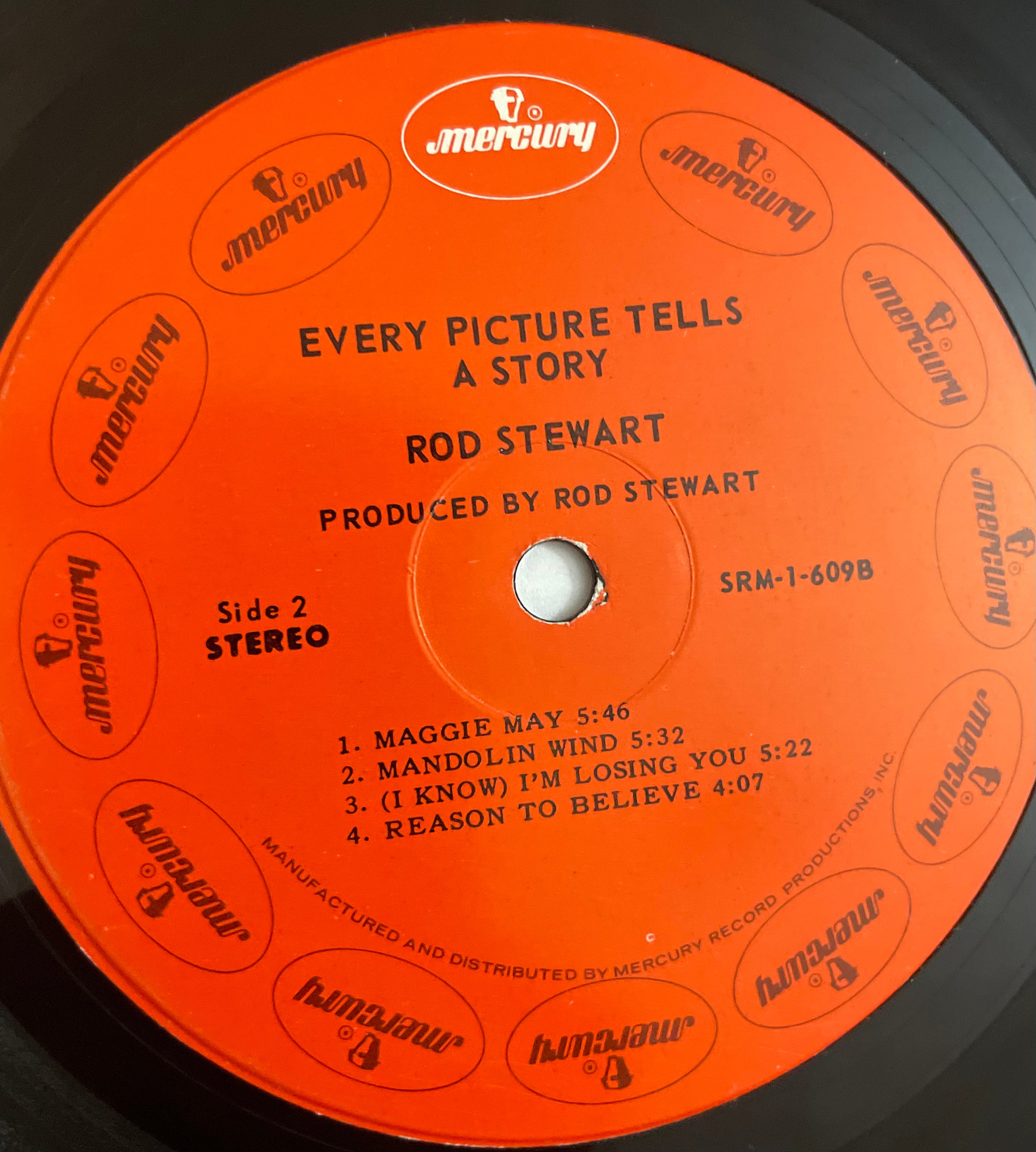 Rod Stewart every Picture Tells A Story LP Record Vinyl - Etsy