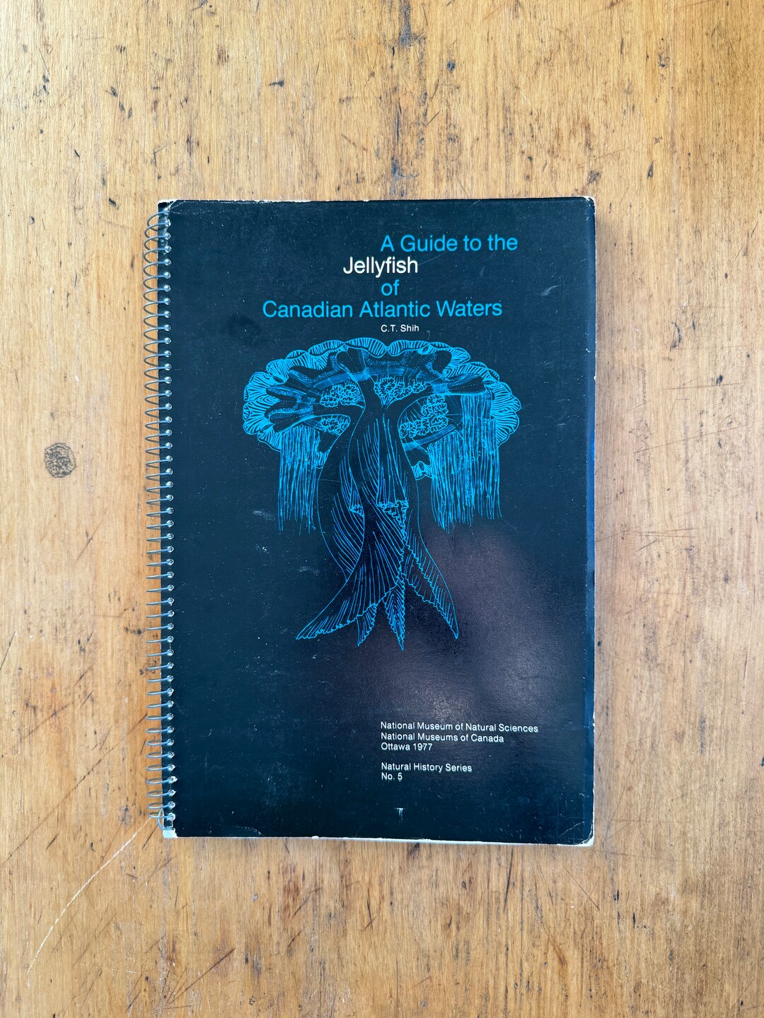 A Guide to the Jellyfish of Canadian Atlantic Waters, - Etsy