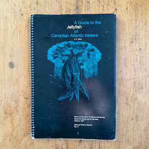 A Guide to the Jellyfish of Canadian Atlantic Waters, - Etsy
