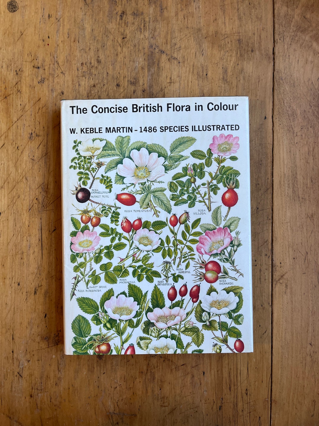 The Concise British Flora in Colour - Etsy