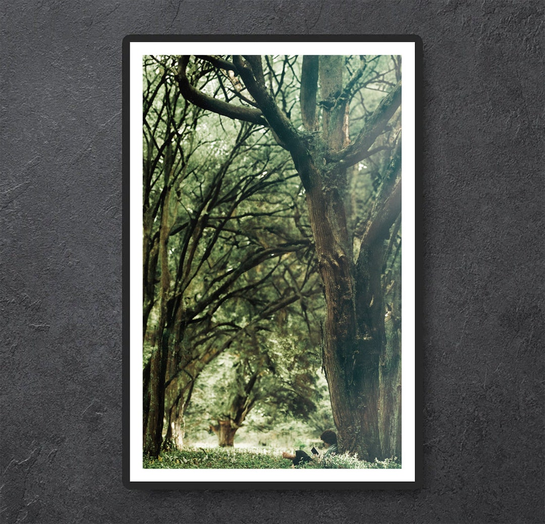 Lazy Days // Lotr Poster Frodo Hobbit Gandalf Frodo Lord of the Rings ...