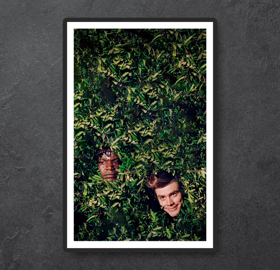 Ace Ventura Peeky Bush Poster: 90s Movie Art (11x17in) - Etsy