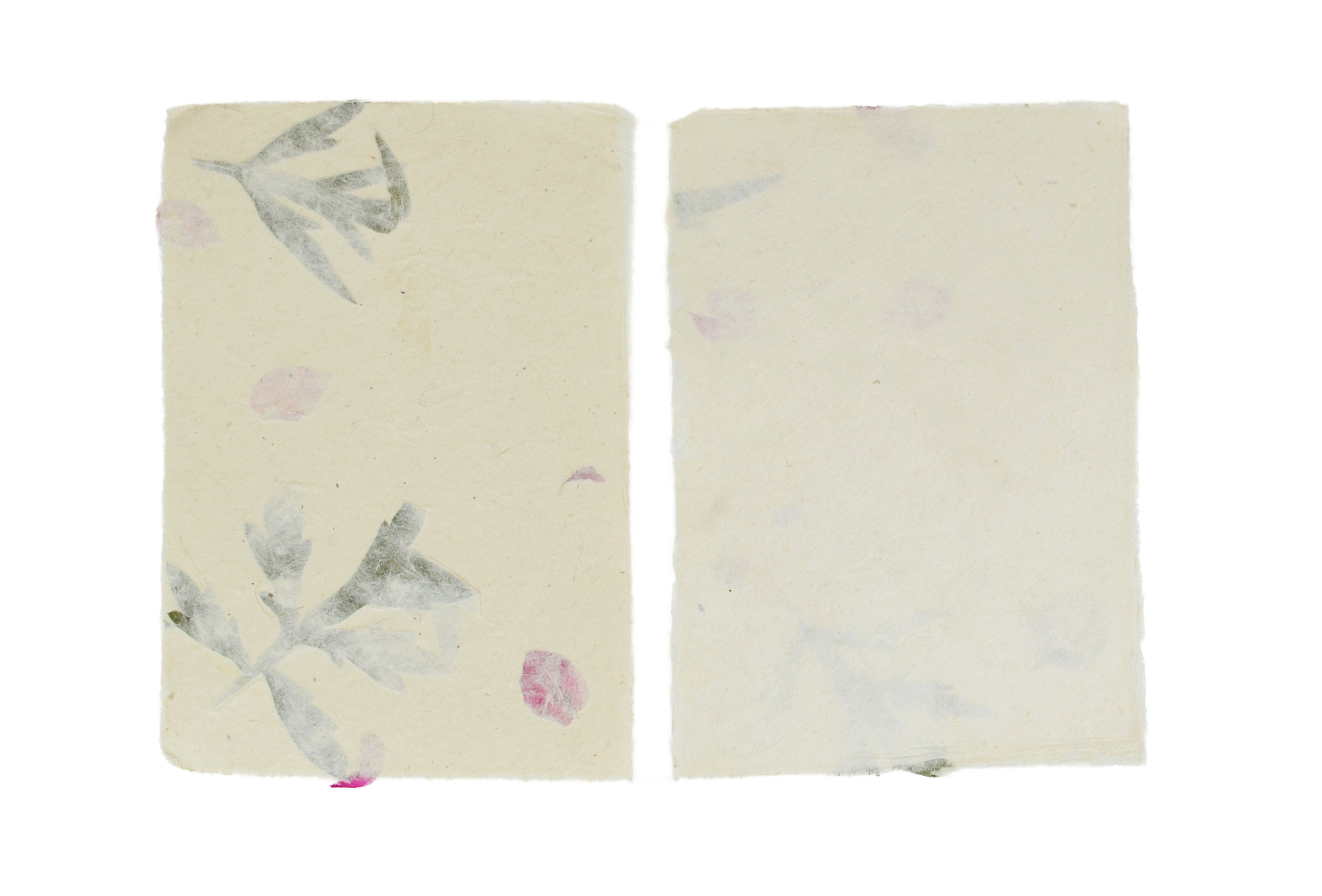 5x7 Inch Handmade Lokta Card Stock Paper With Deckle Edge. - Etsy