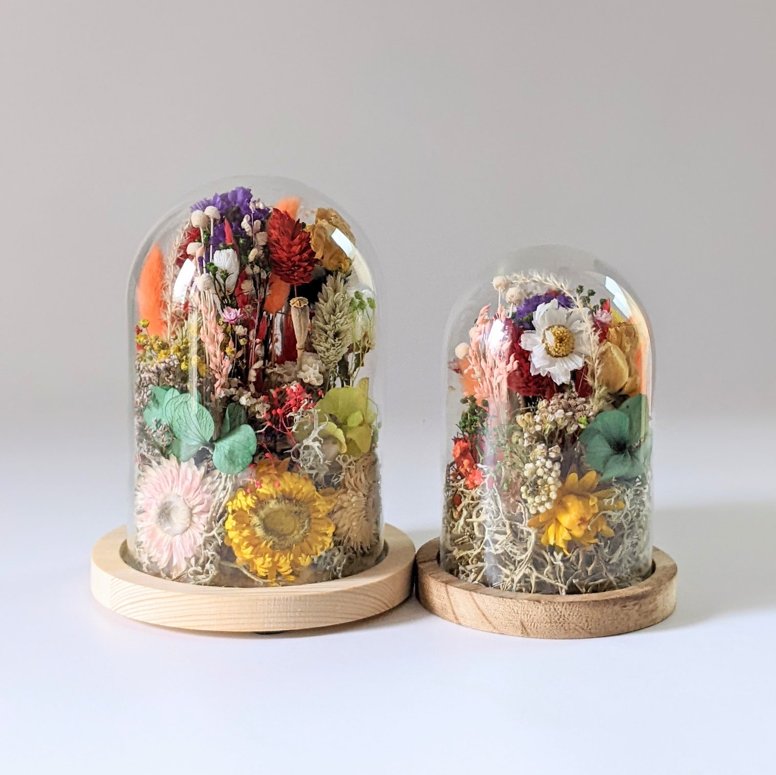 Flora Bell With Stabilized Rainbow Flowers, Poetic Colorful Decoration ...