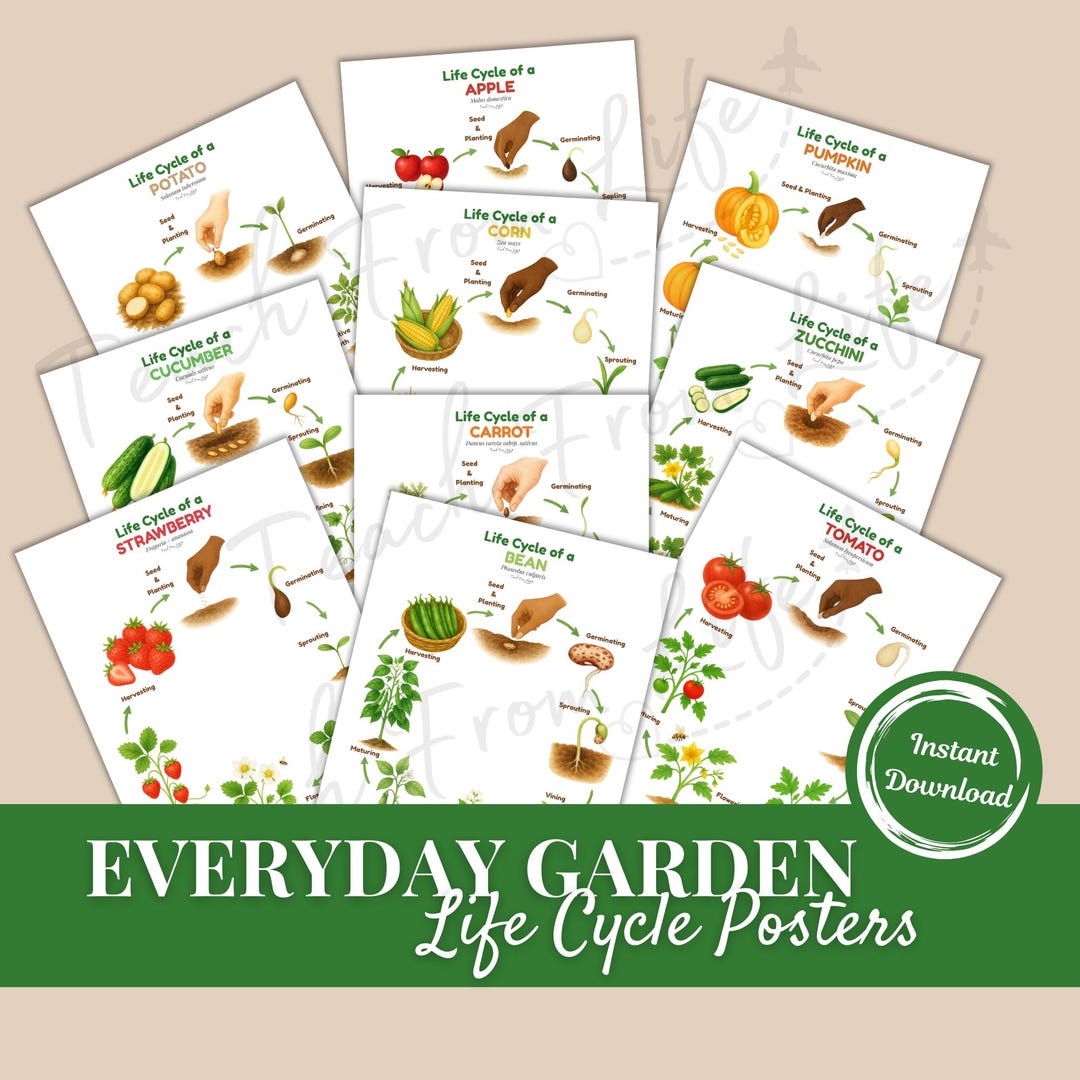 Garden Life Cycle Posters Bundle | 10 Plant Science Printables + Bonus ...