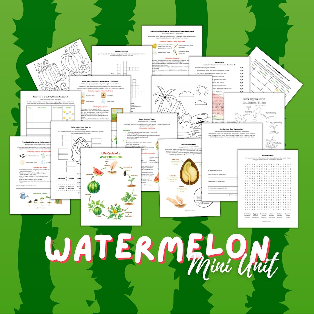 Watermelon Mini Unit: Life Cycle, Experiments, Worksheets (digital ...