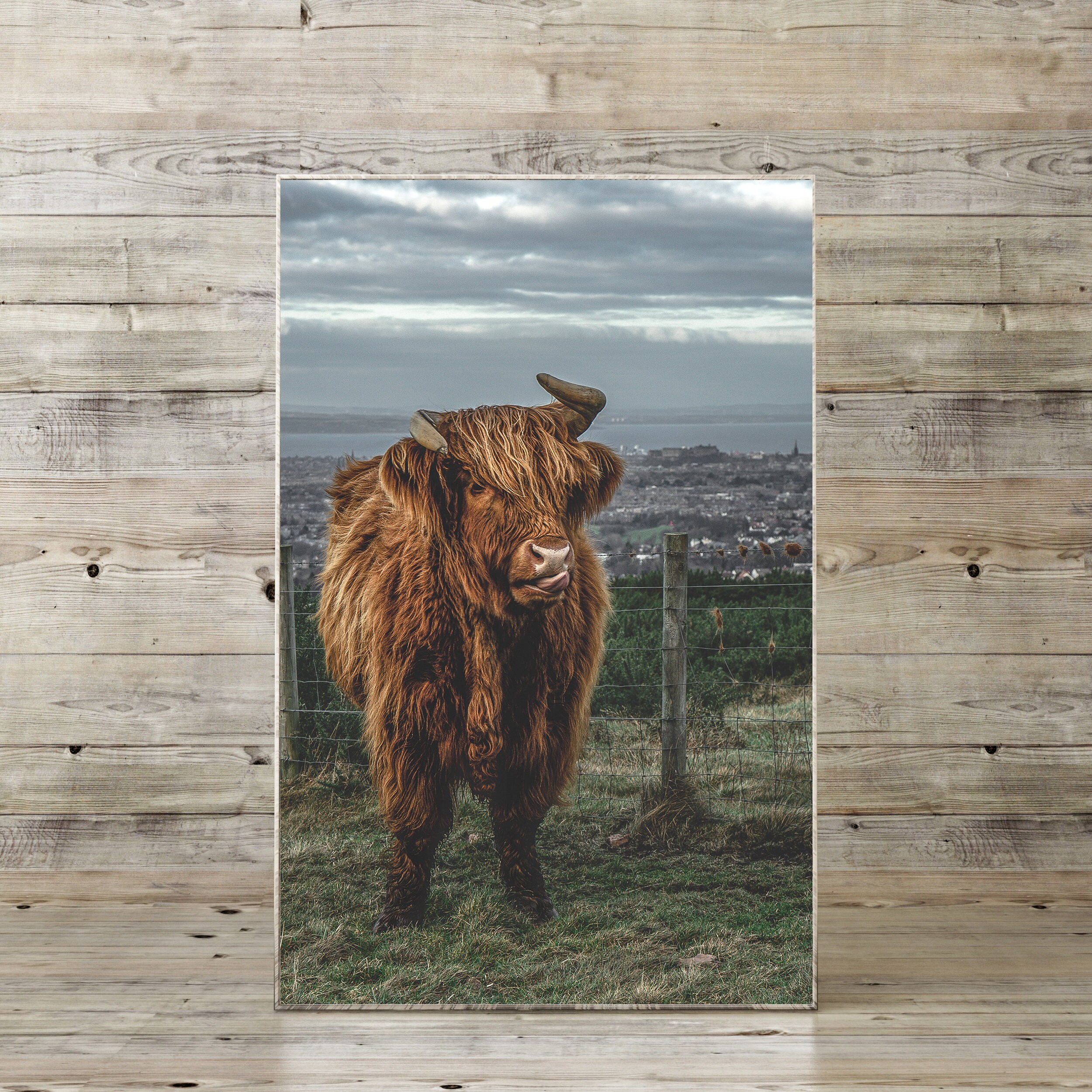 Highland Cow Print, Printable Wall Decor, Instant Art, INSTANT DOWNLOAD ...