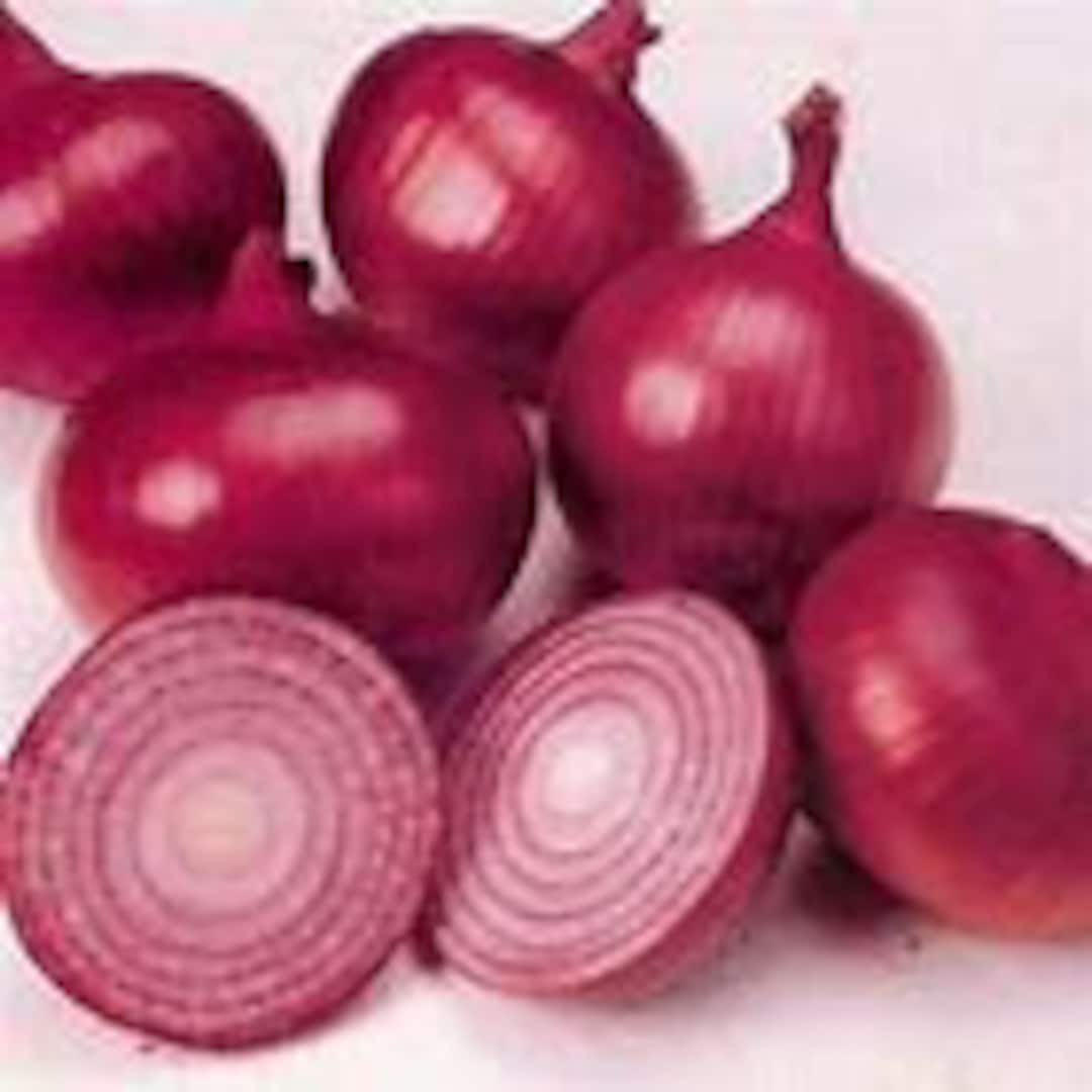 Onion-red Grano: Crips, Mild Heirloom, Tantalize Taste Buds 20 Seeds - Etsy
