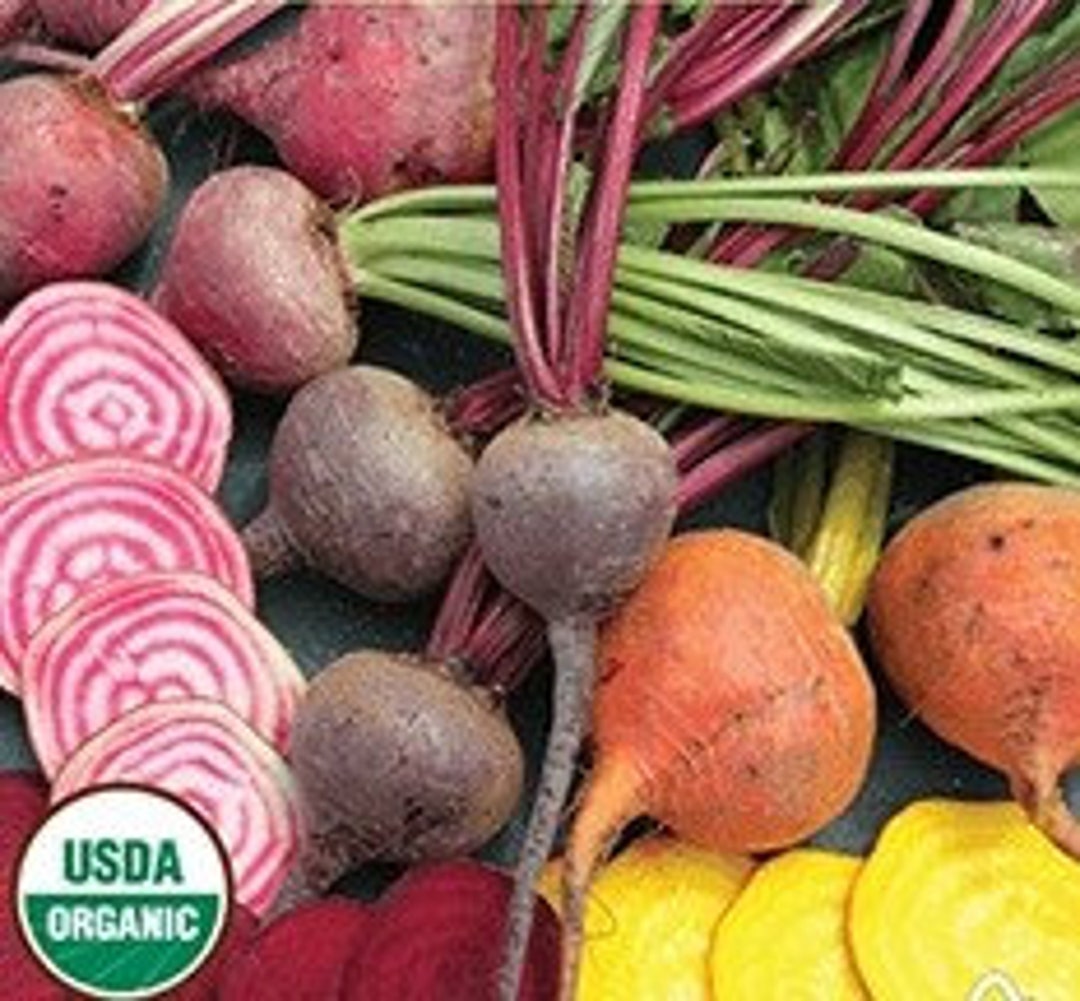 Beets of Color - Delightful Assortment. Red, Purple, Orange, Edible ...