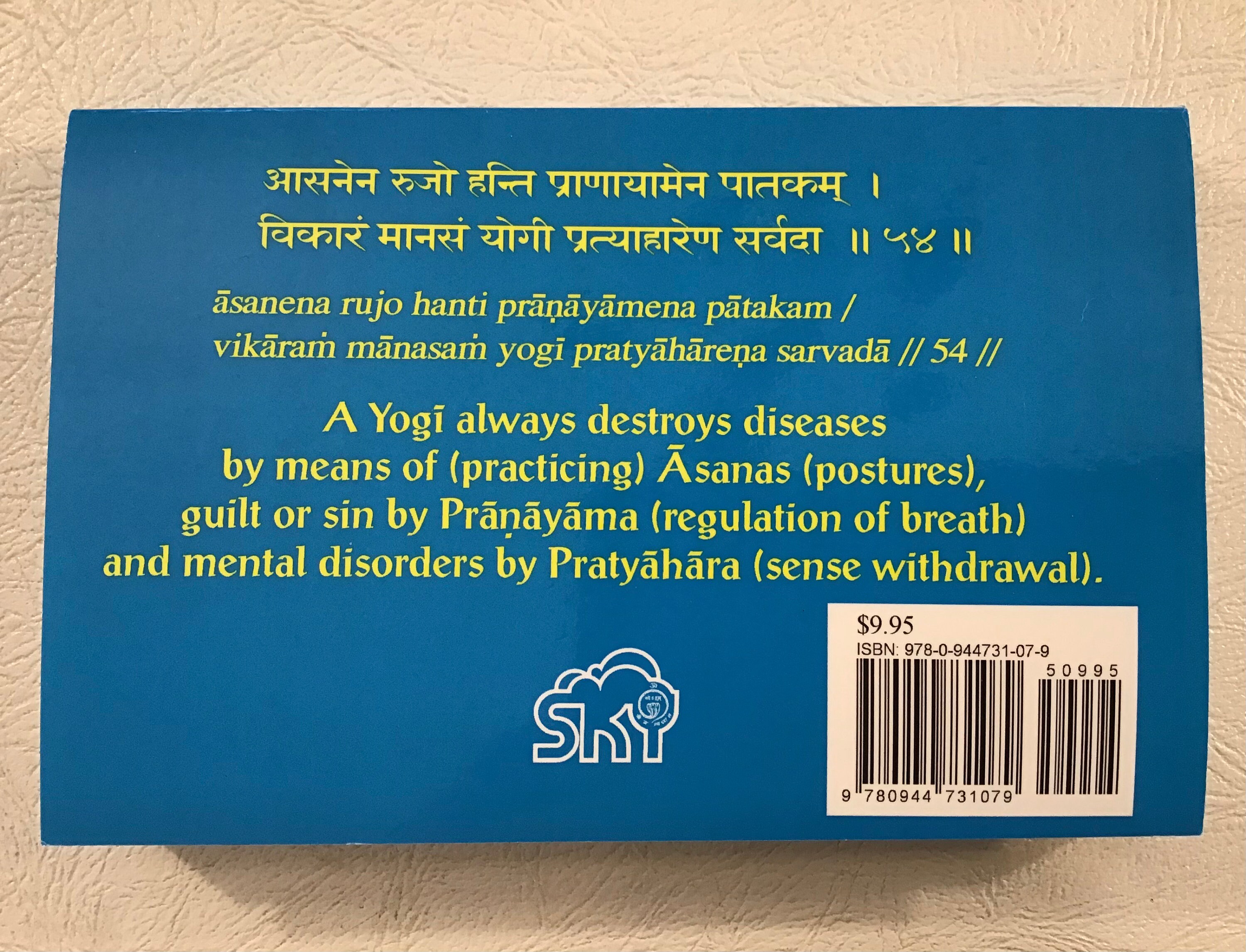 Yoga of Goraksa: A Glimpse - Etsy