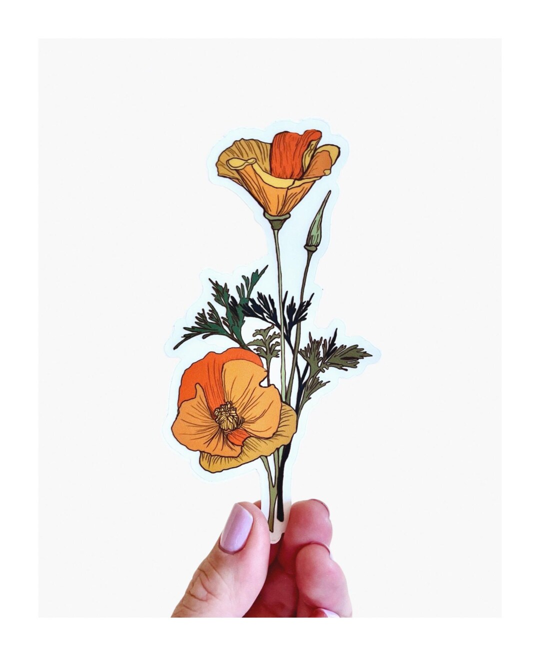 Buy California Poppy Decal – Clear Waterproof Wildflower Sticker Online ...