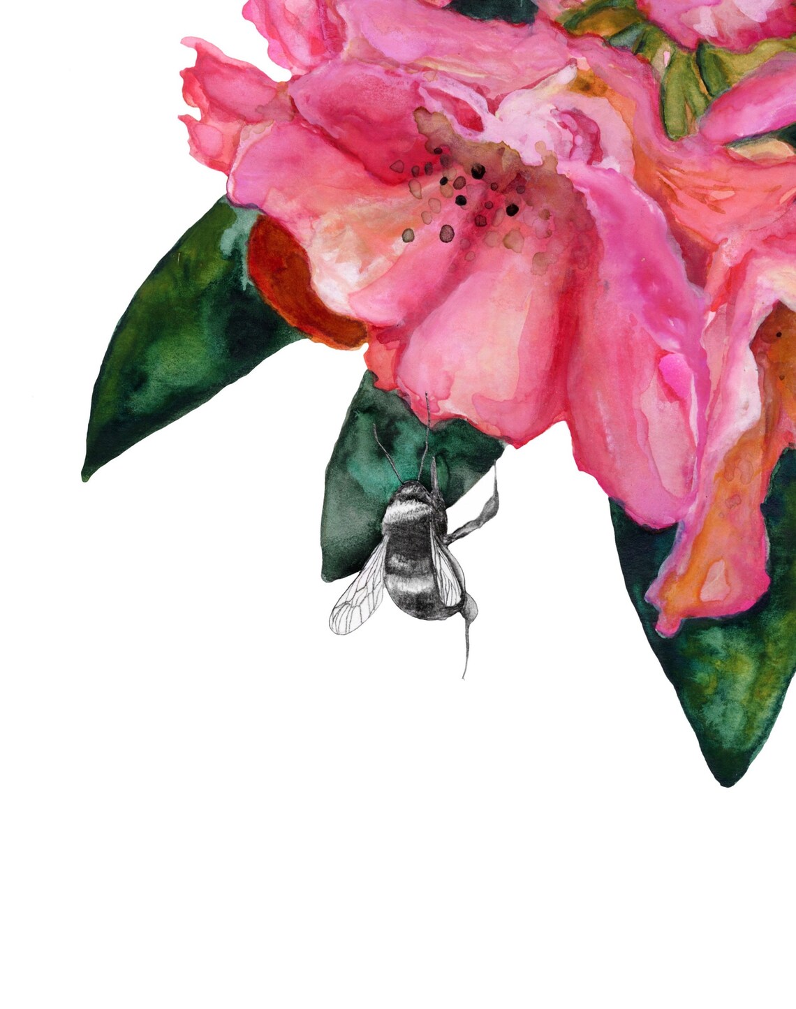 WASHINGTON COAST RHODODENDRON Print Fine Art Painting | Etsy