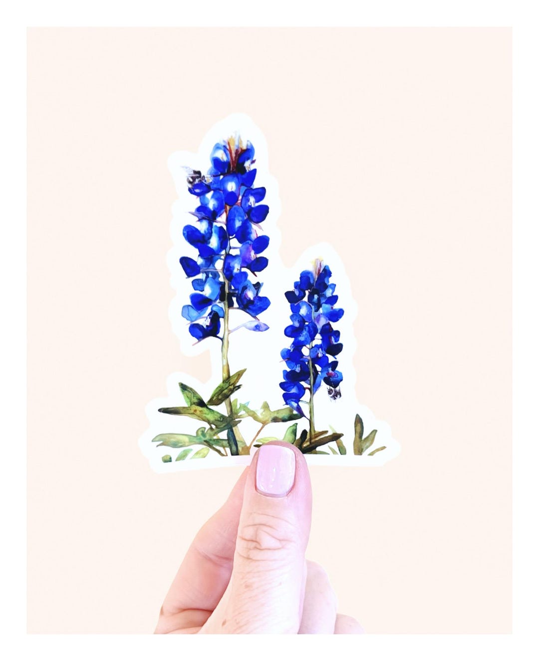 Texas Bluebonnet Sticker – Waterproof Wildflower Vinyl Decal - Etsy