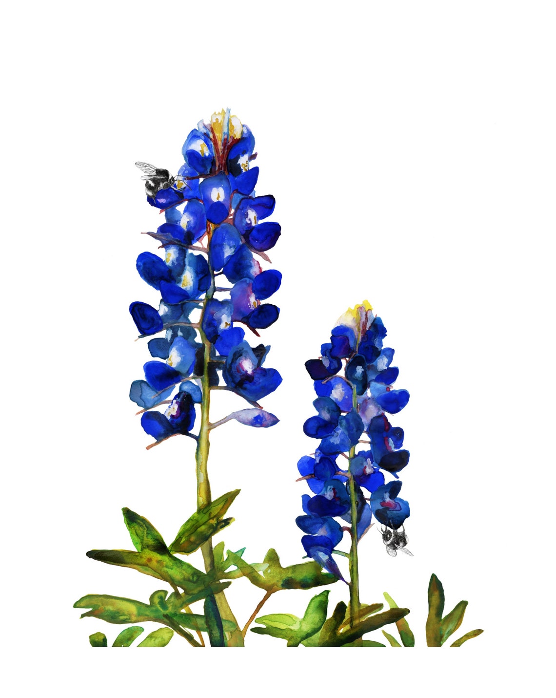 Small Bluebonnet Print Blue Texas Bluebonnet Flower Abstract | Etsy