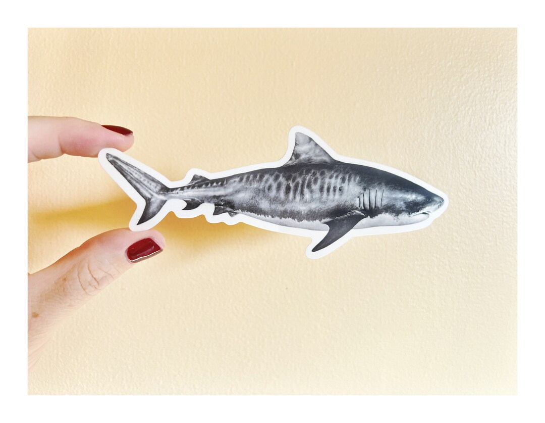 Tiger Shark Sticker, Shark Vinyl Sticker, Ocean Home Decor, Sea-life ...