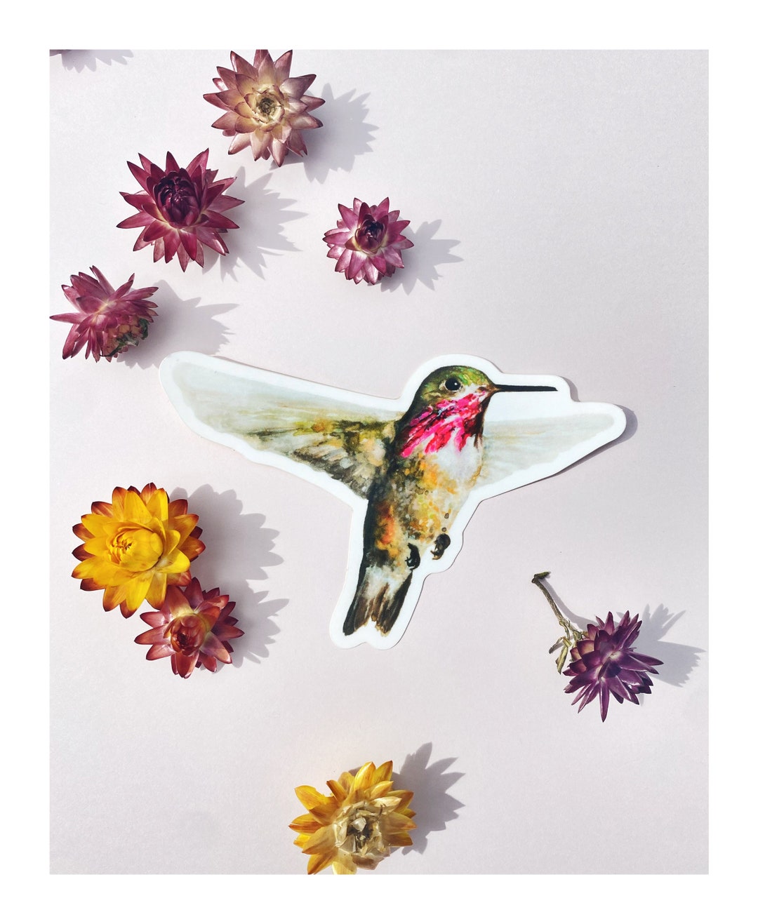 Hummingbird Decal, Flying Calliope Hummingbird Print, Waterproof ...