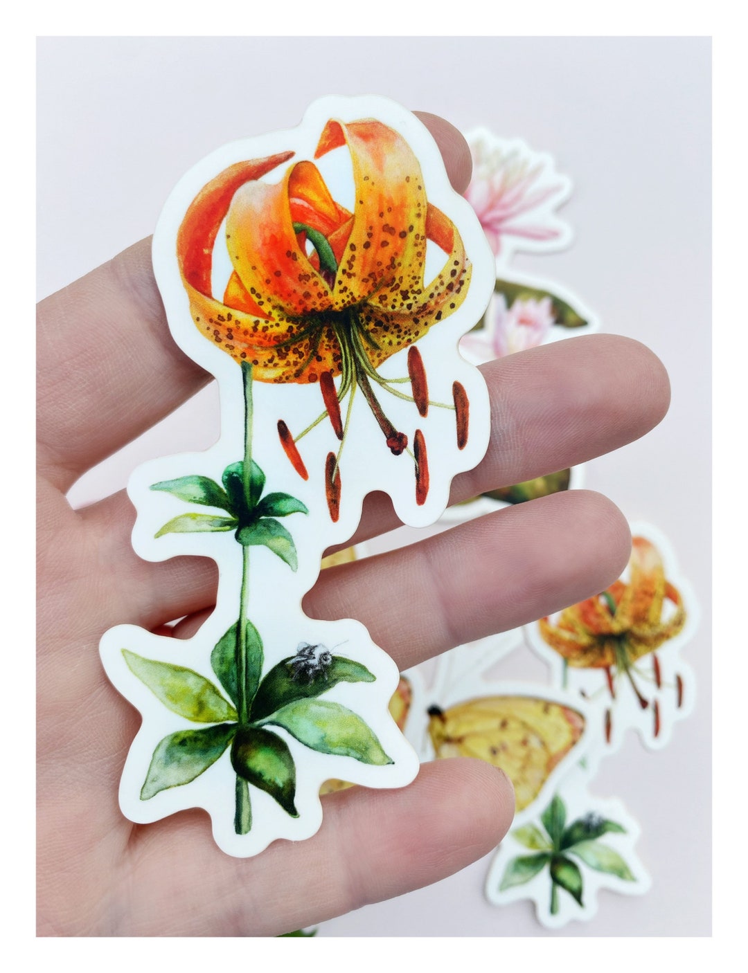 Watercolor Illustration Decal, Tiger Lily Decal, Plant Illustration ...