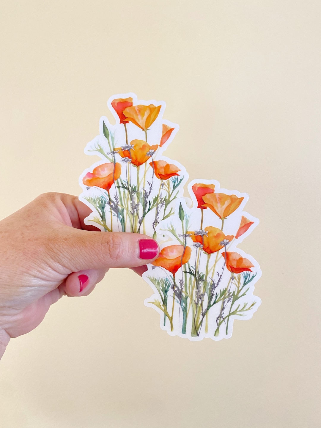 Watercolor California Poppy Sticker: Waterproof Floral Decal - Etsy