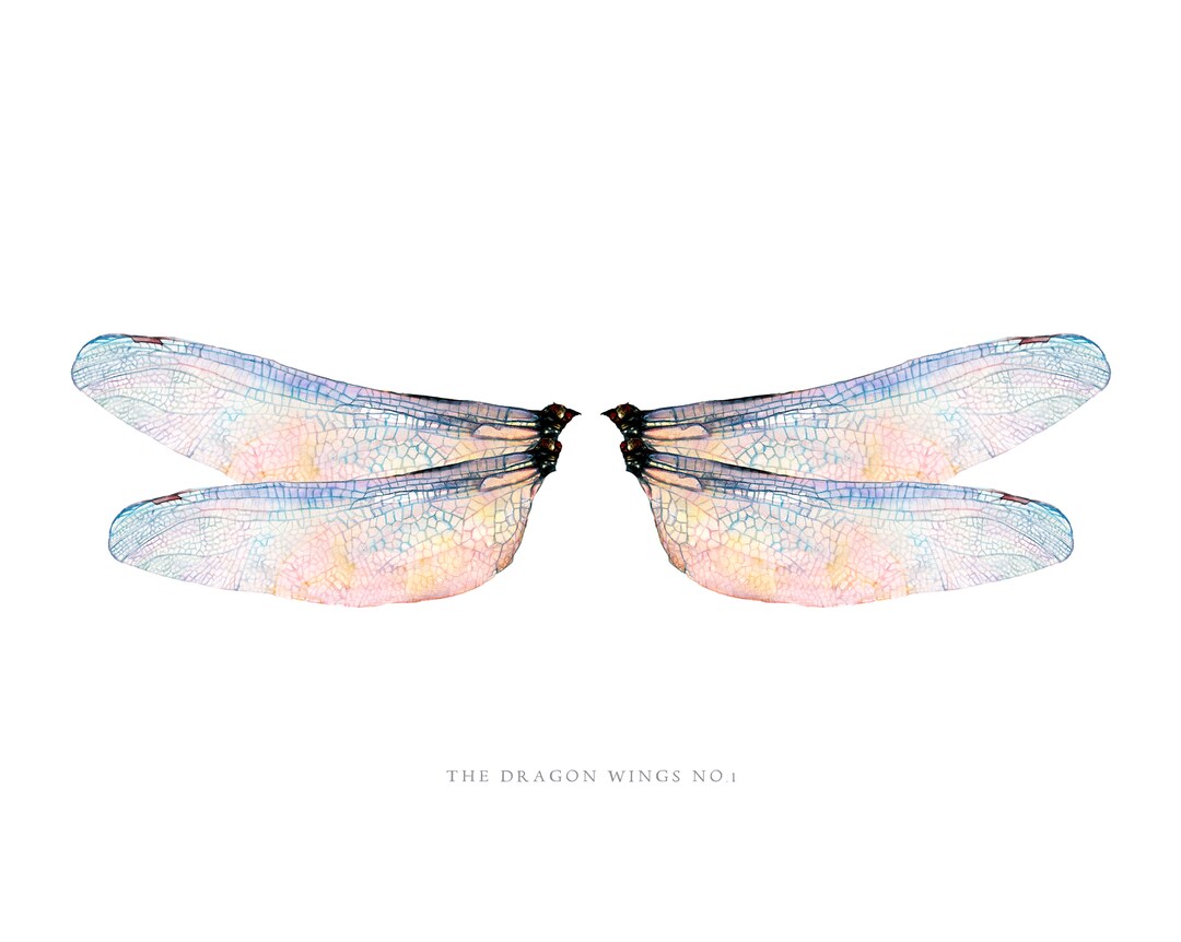 Dragonfly Wall Art Dragonfly Wing Wall Art Bug Print Wing Watercolor Painting Wall Art - Etsy