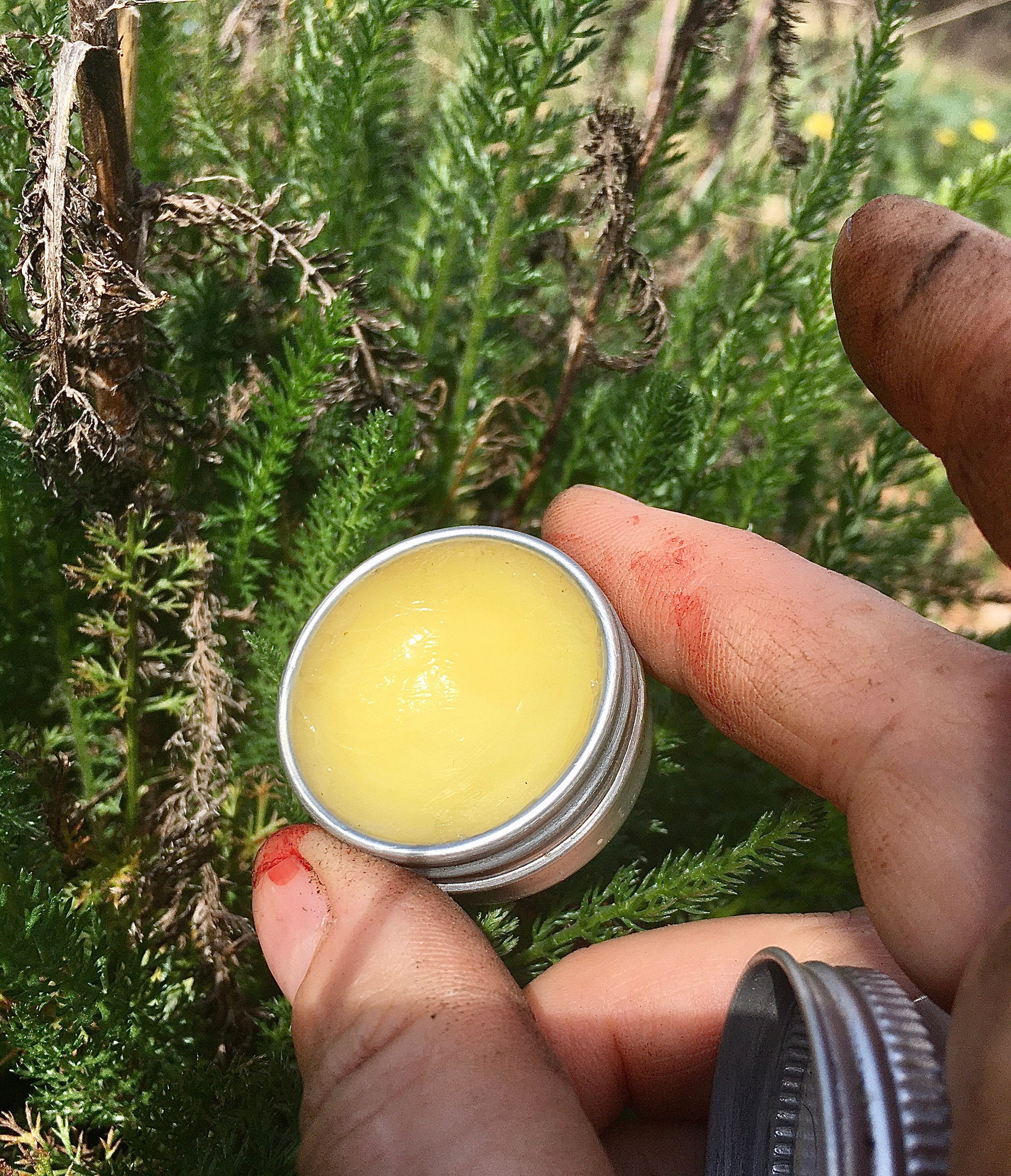 Yarrow First Aid Salve - Etsy