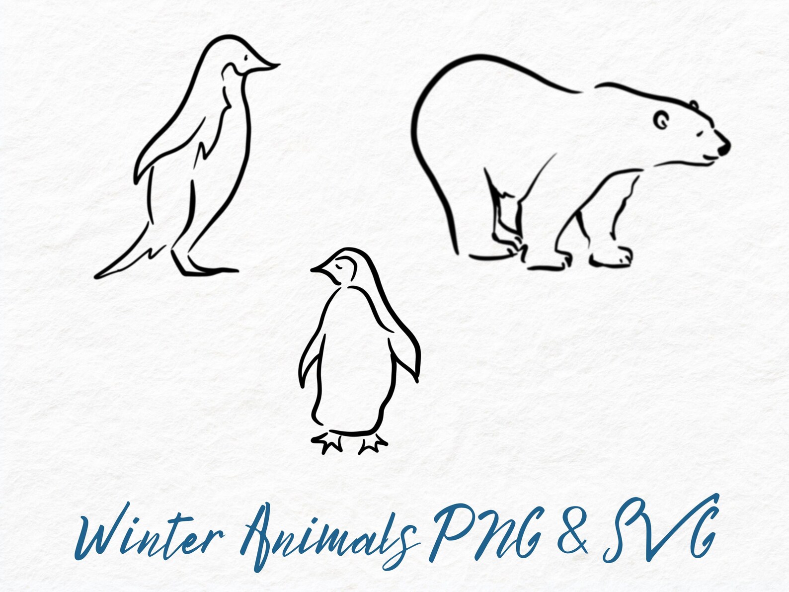 Winter Animals SVG Illustrations - Sublimation Print - Polar Animal PNG ...
