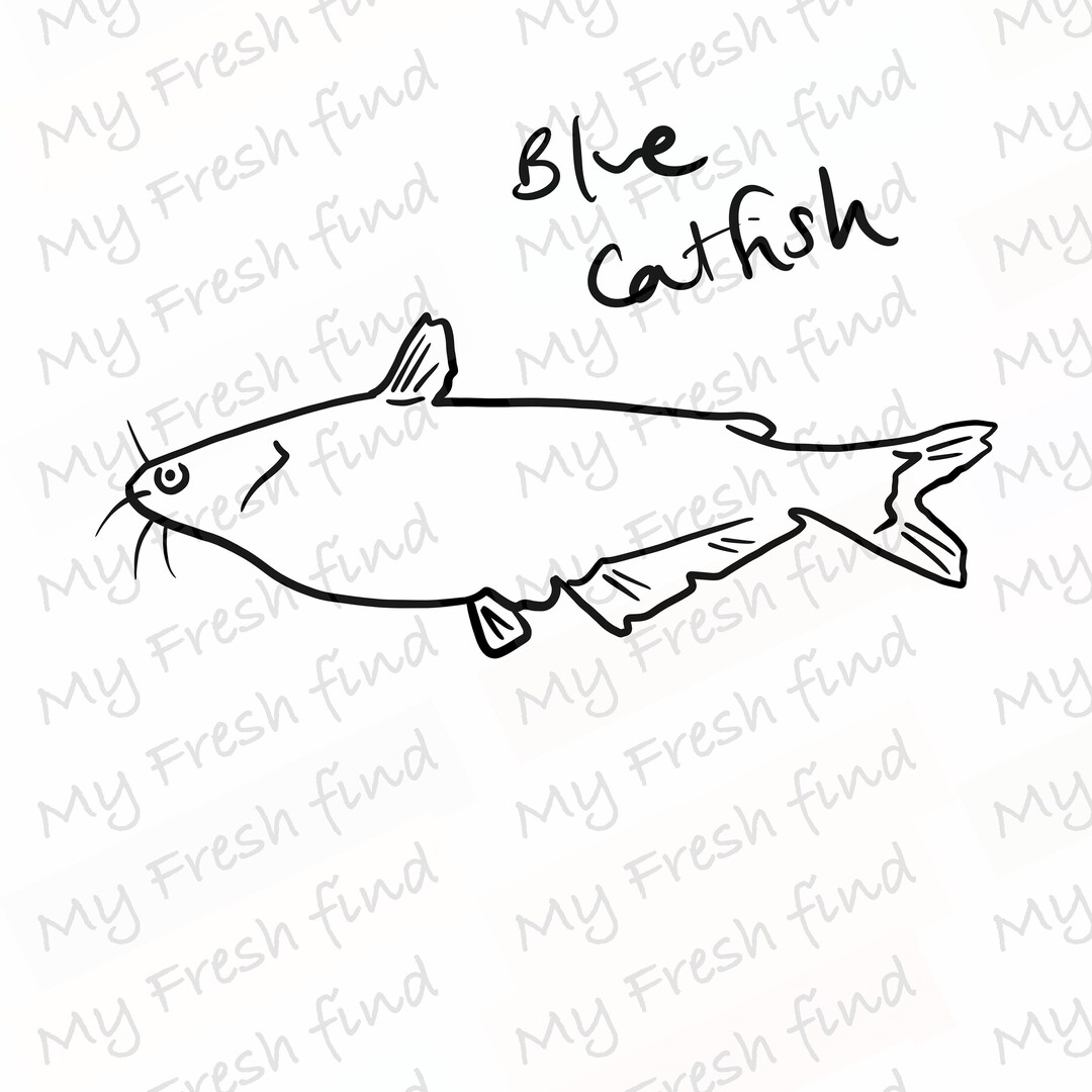 Blue Catfish Outline - Sublimation Print - SVG - PNG - Digital Download ...
