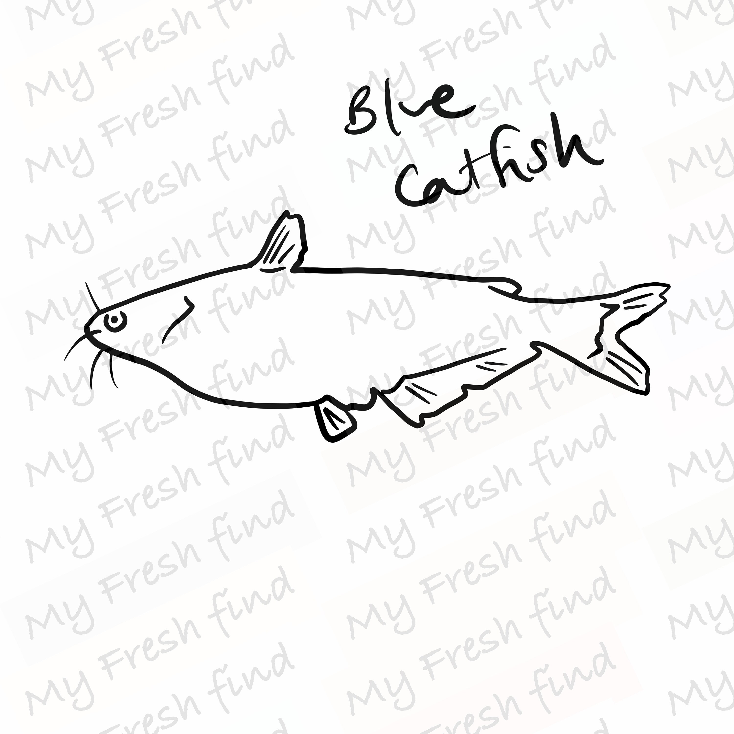 Blue Catfish Drawing