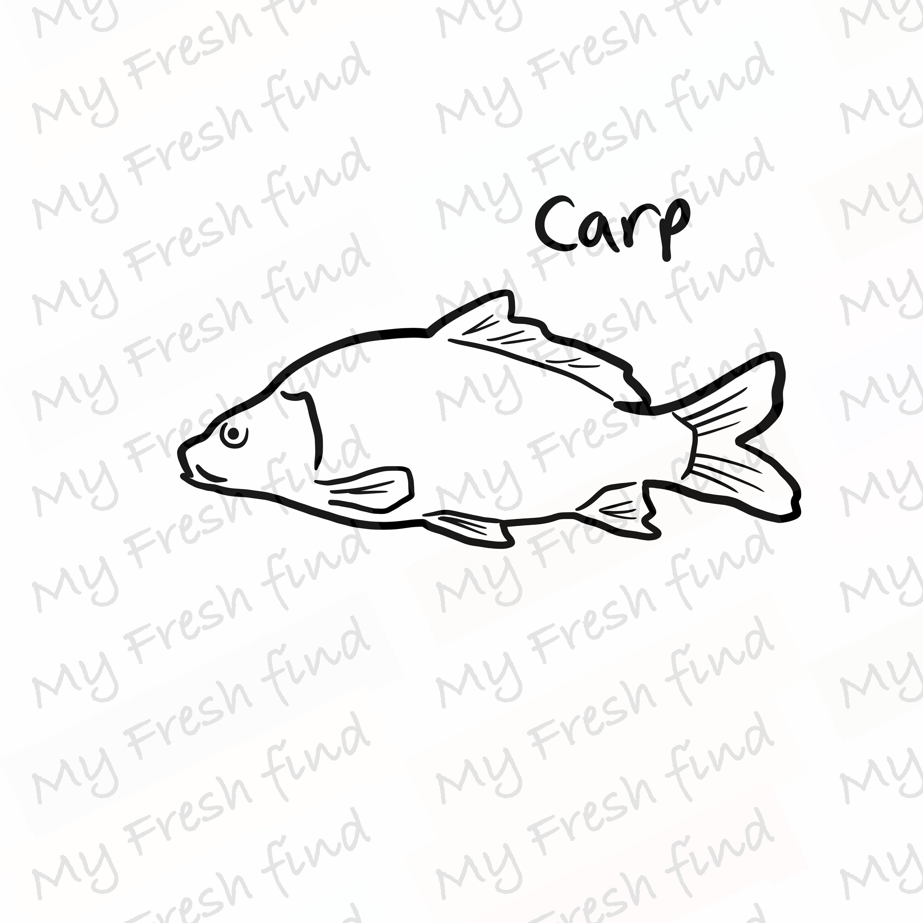 Carp Fish Outline - Sublimation Print - SVG - PNG - Digital Download ...