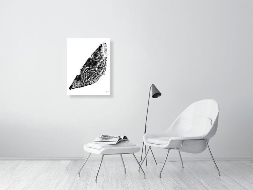 Douglas Fir. Stump.i Art Print - Etsy