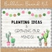 Cactus Back to School Bulletin Board Summer Bulletin Board Kit Plant ...