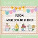 Bloom Where You Are Planted Spring Bulletin Board Kit Pastel Bulletin ...