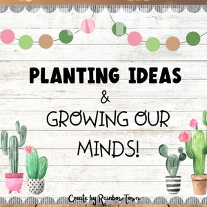 Cactus Bulletin Board Kit Summer Bulletin Board Classroom Decorations ...